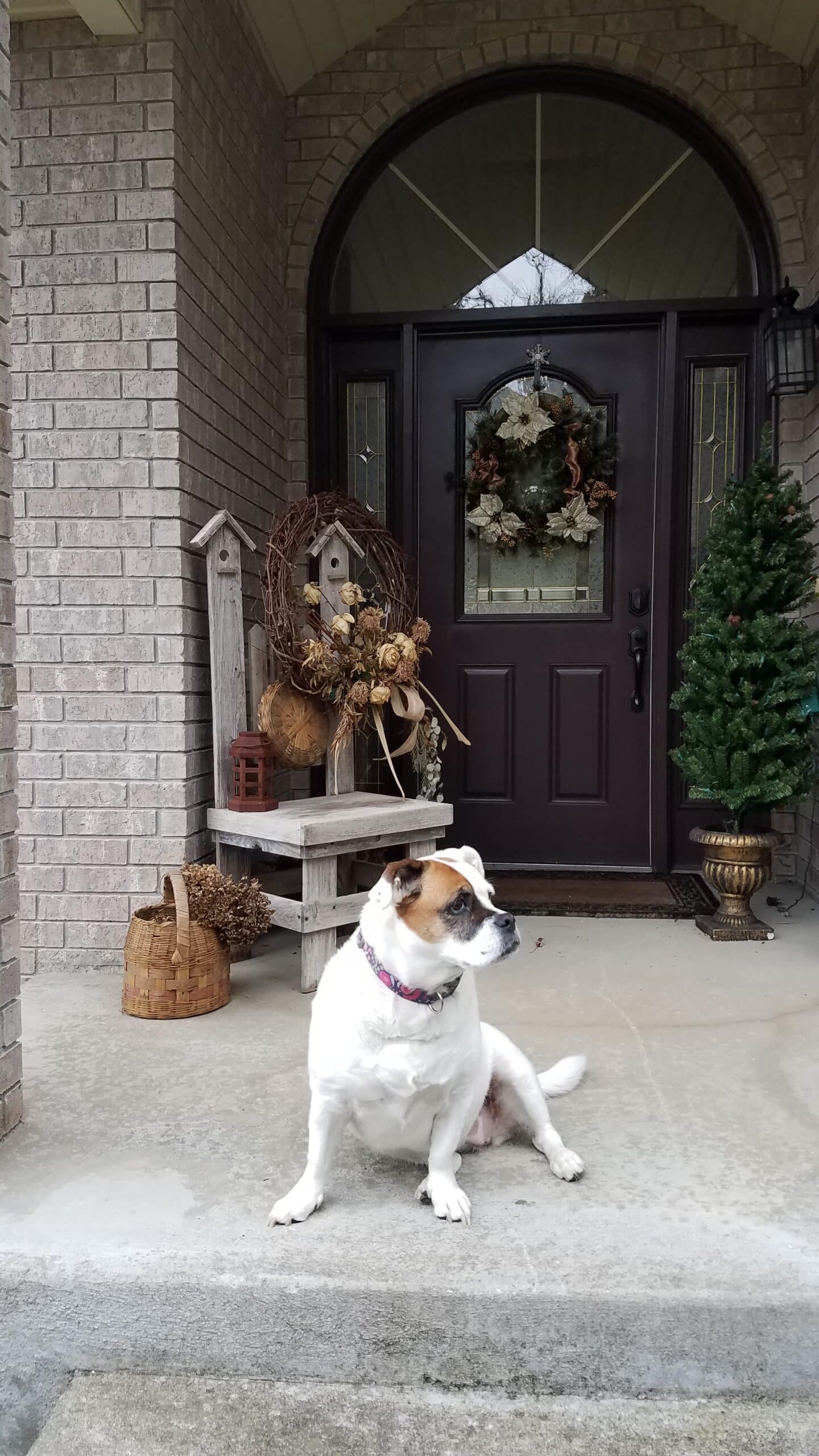 Steve Scherer | Leisure Hotels & Resorts